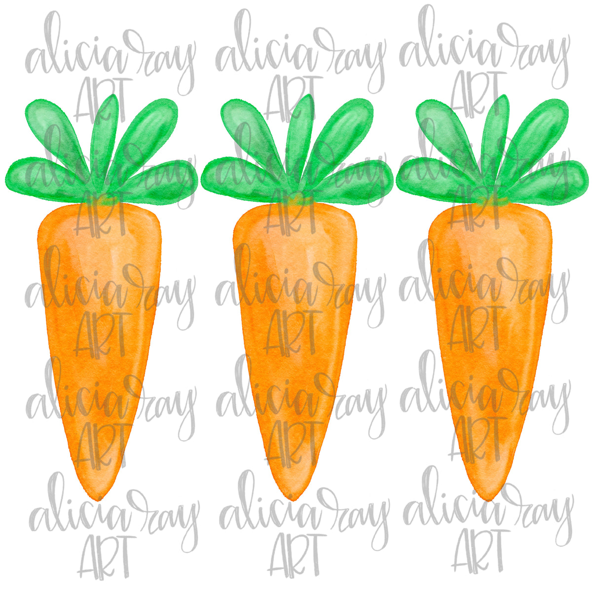 Watercolor Carrots – Alicia Ray Art